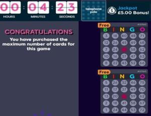 Buying Online Bingo Tickets - NewBingoSites.co